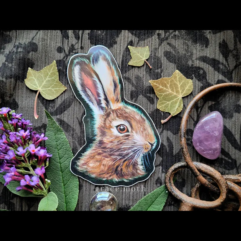 Haunted Hare - Vinyl Sticker | Magical & Witchcraft Supplies – The Wyt ...